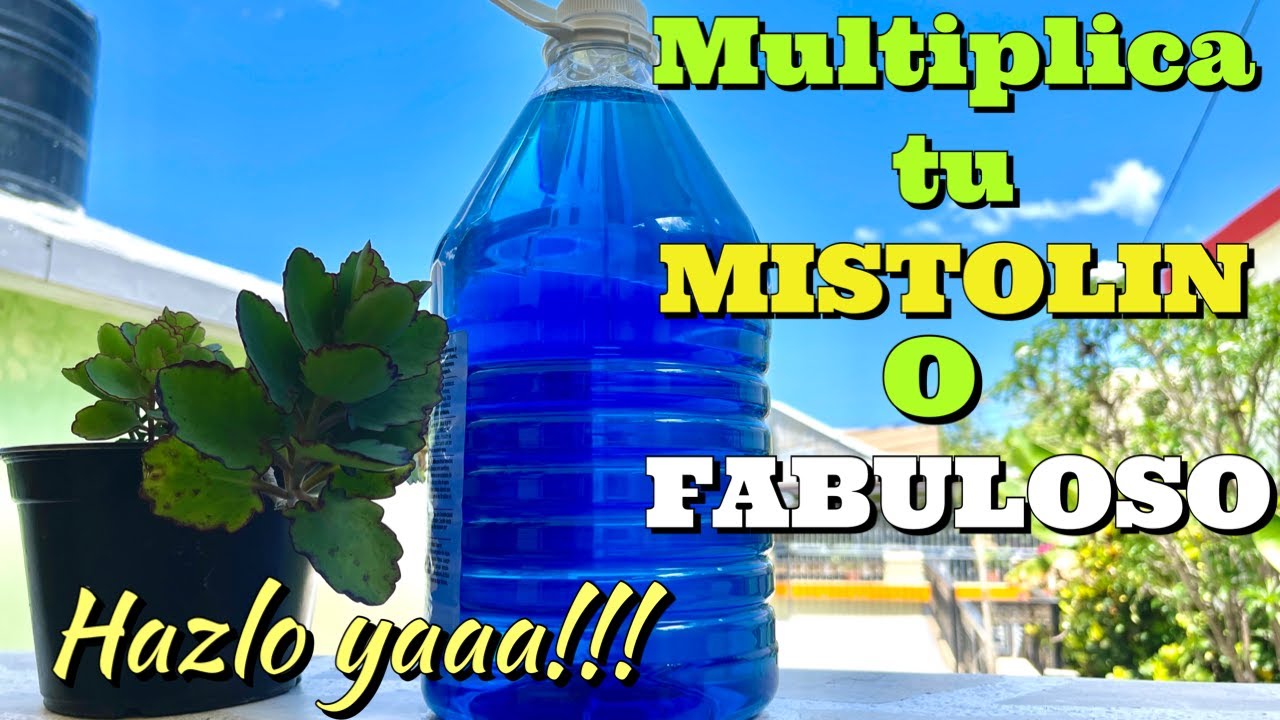 Como multiplicar tu MISTOLIN o FABULOSO. - YouTube