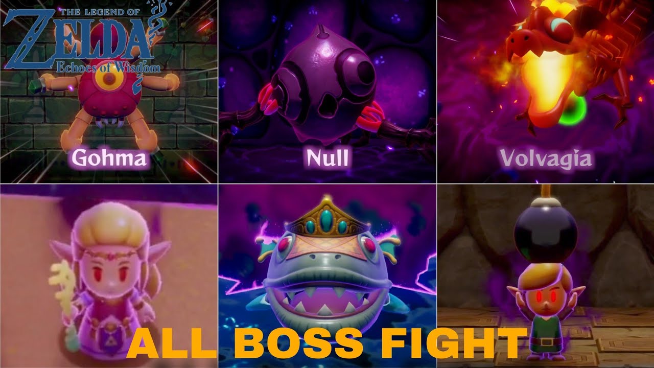 Legend Of Zelda Echoes Of Wisdom All Boss Fight - YouTube