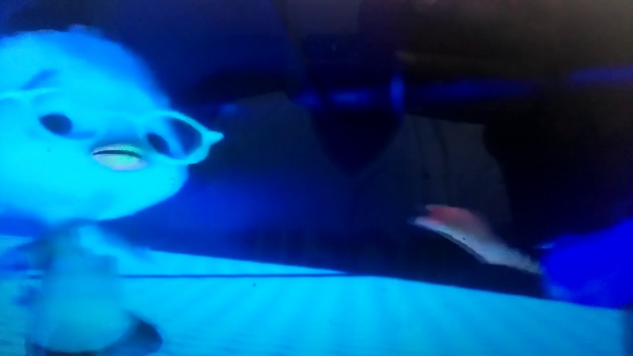 [Chicken Little] Run! - YouTube