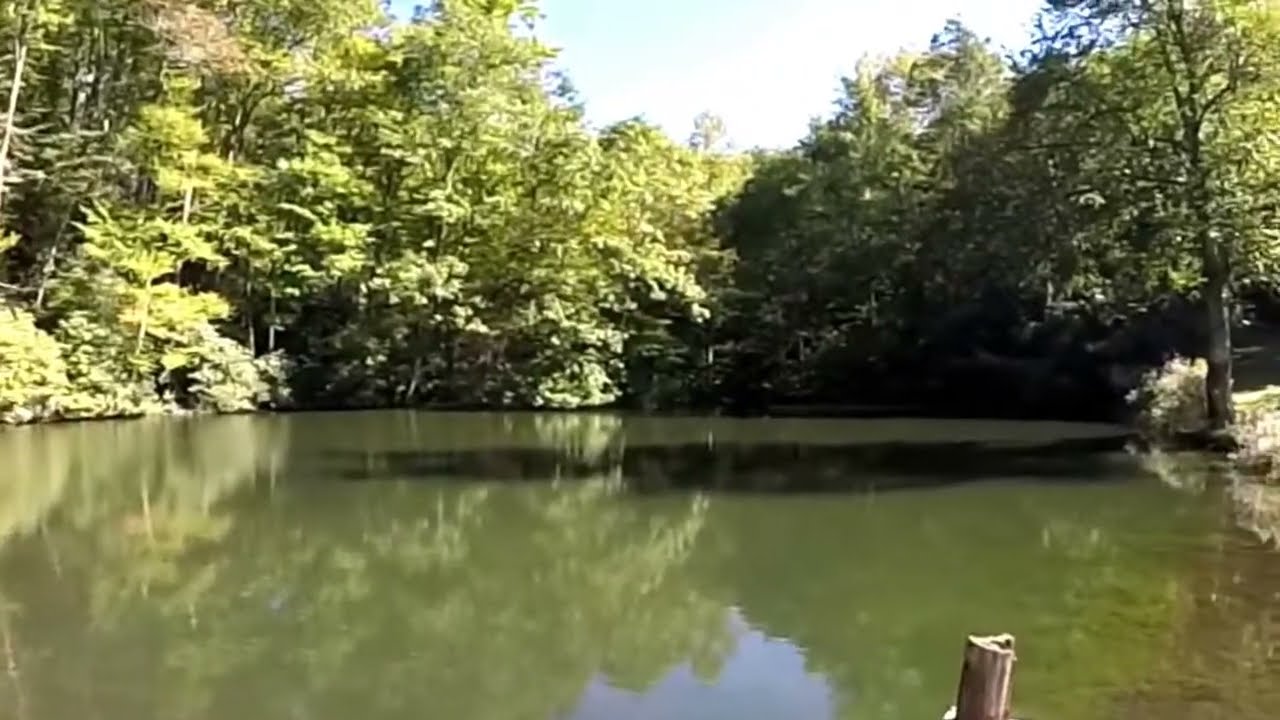 Boone, NC - Camp Sky Ranch - Winklers Creek Pond - YouTube