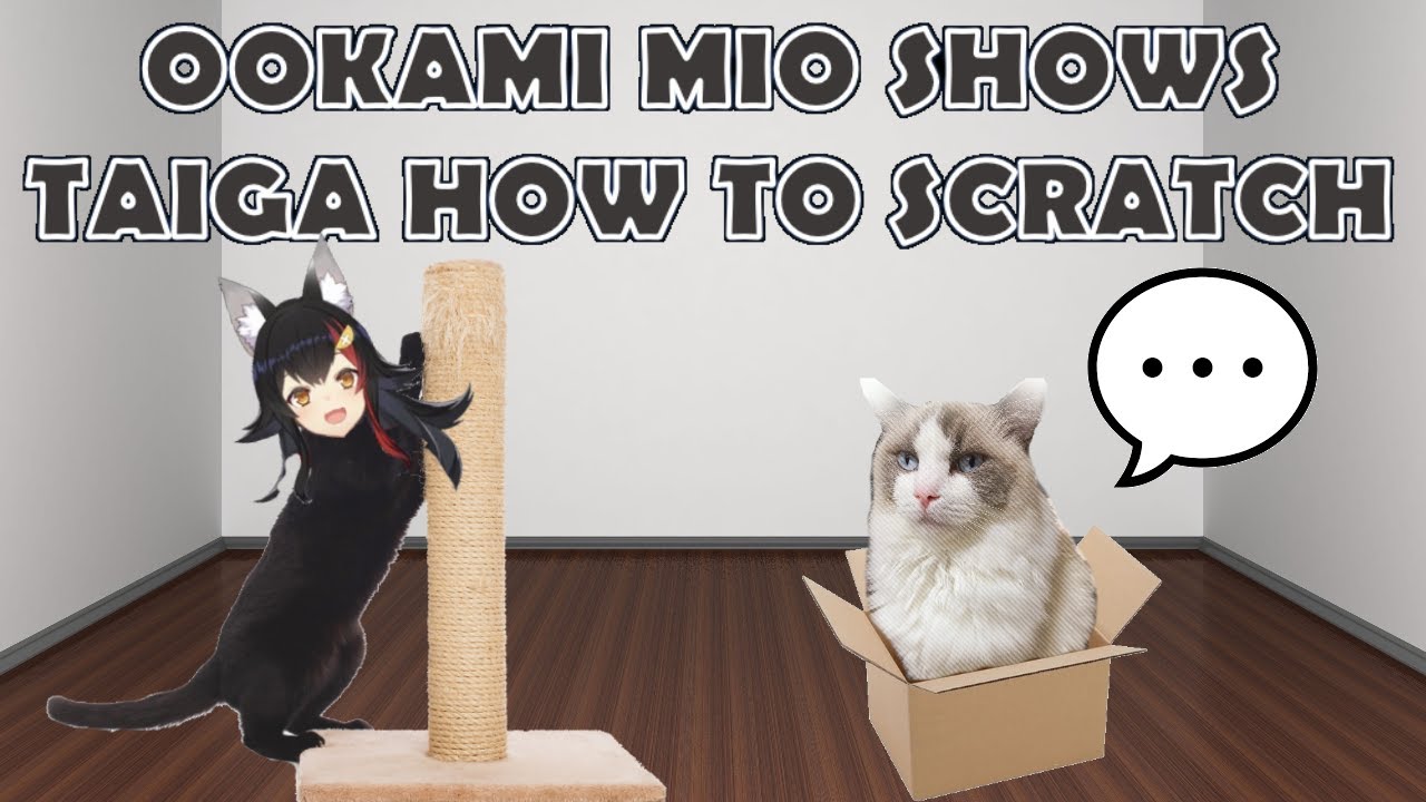 Ookami Mio Teaches Her Cat How To Scratch【Eng Sub】 - YouTube