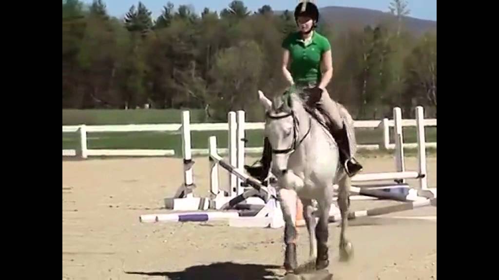 Equestrian Workout - YouTube