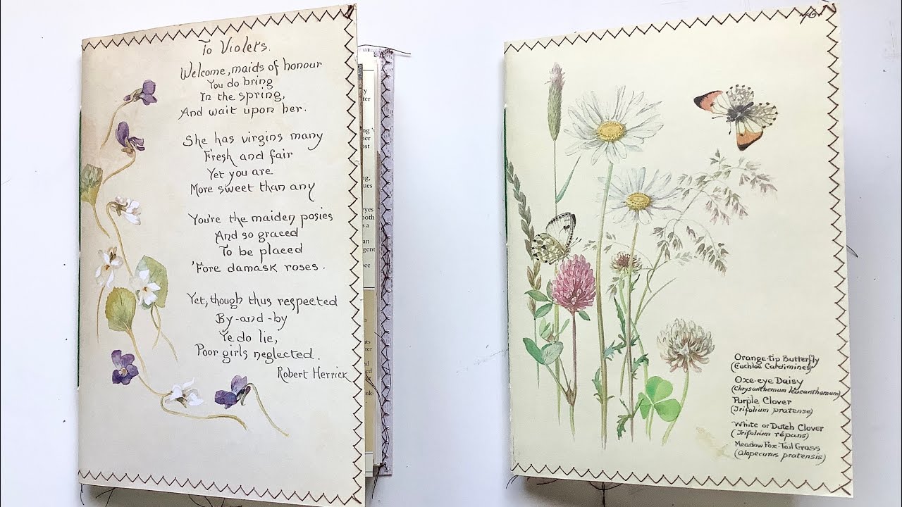 Edith Holden journals - Violet & Daisy - YouTube