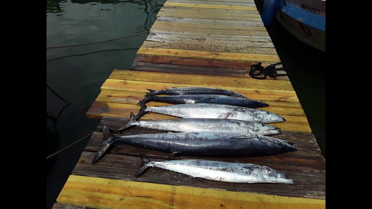 FISHING IN CANADA? for Salmons.My daughter Toni ,fishing - YouTube