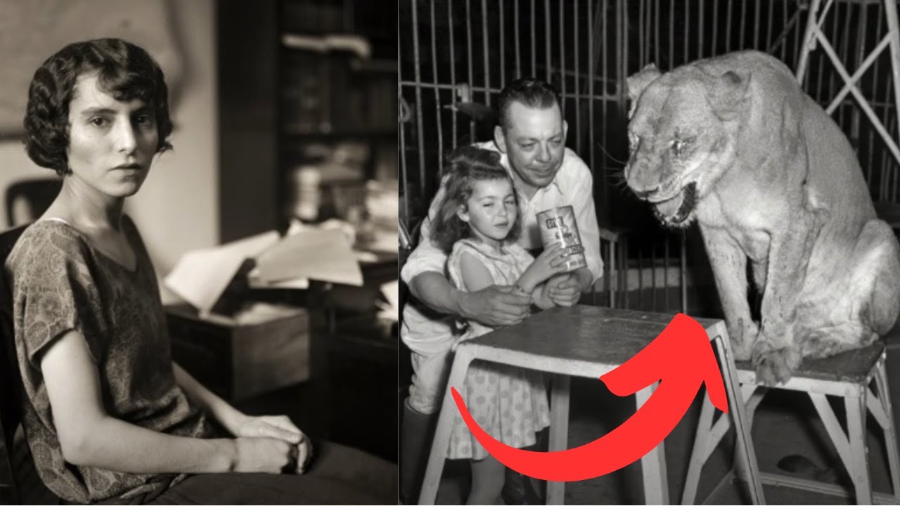 Historical PHOTOS Were Found In A CLOSED ARCHIVE! - YouTube