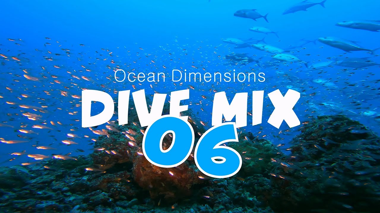 Ocean Dimensions - Dive Mix 06 - YouTube