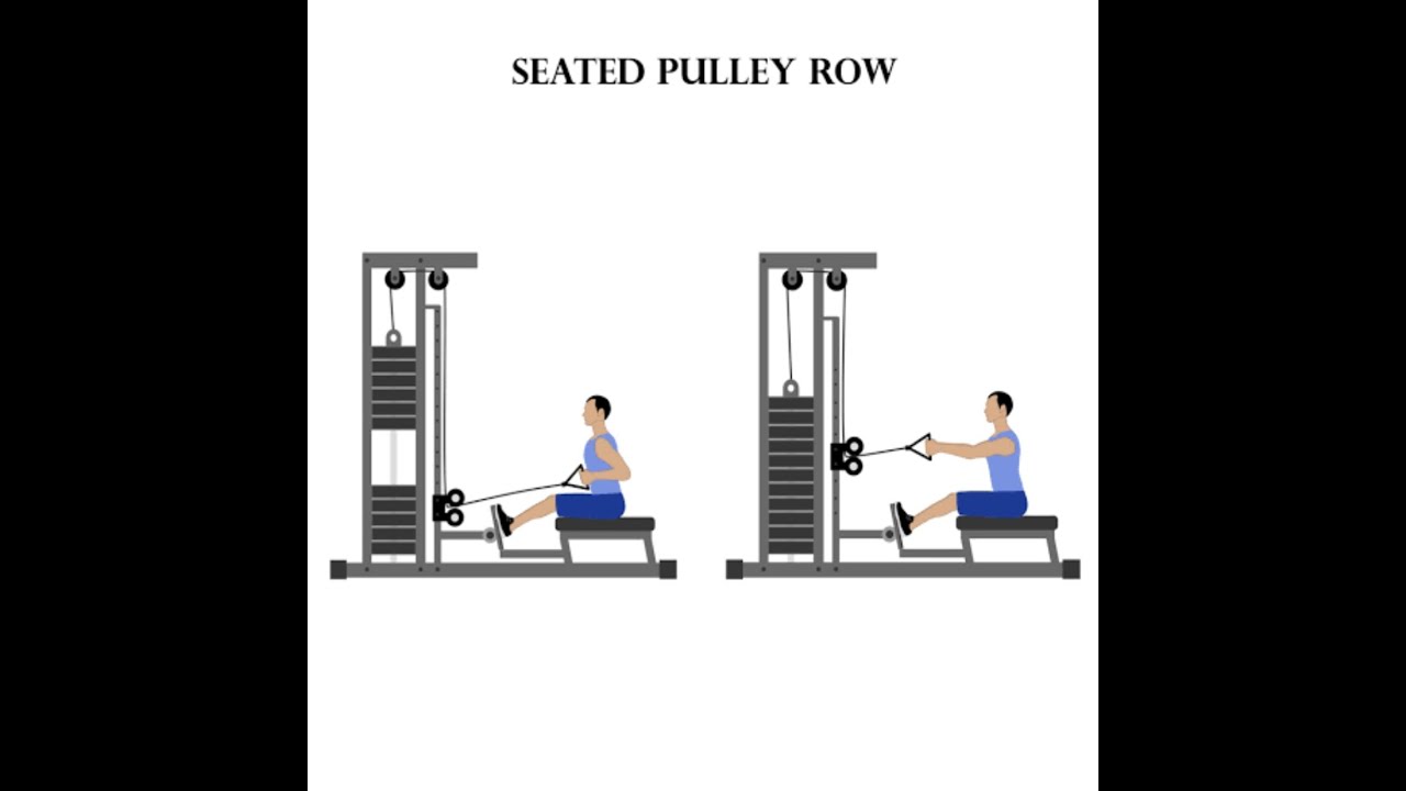 Lats workout with ground pulley - YouTube
