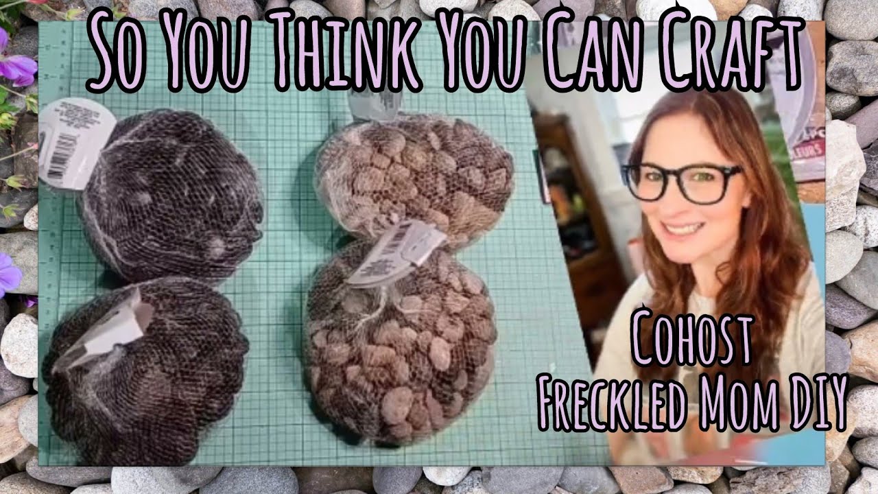 Dollar Tree Rock DIYs-So You Think You Can Craft Challenge-Dollar Tree ...