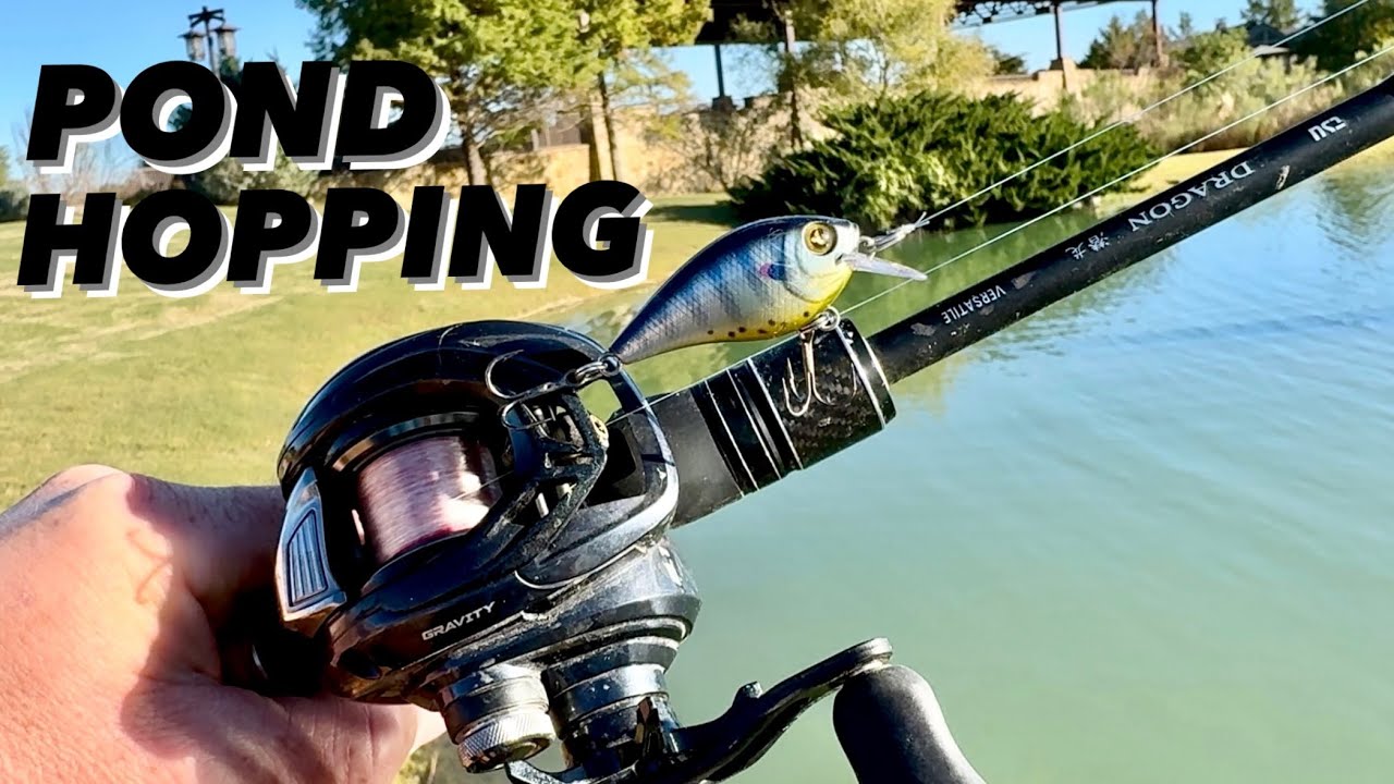 Fishing SMALL Ponds With a SURPRISE Catch! |Fort Worth BFS Angling ...