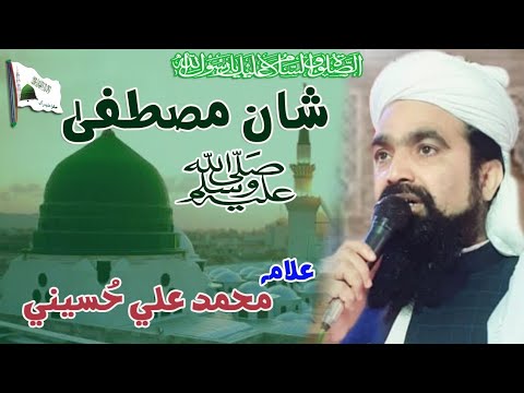 Molvi Muhammad Ali Hussaini Bayan