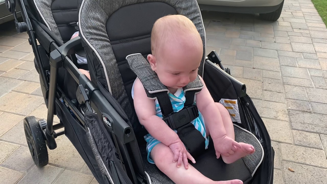 Getting ready for a walk - YouTube