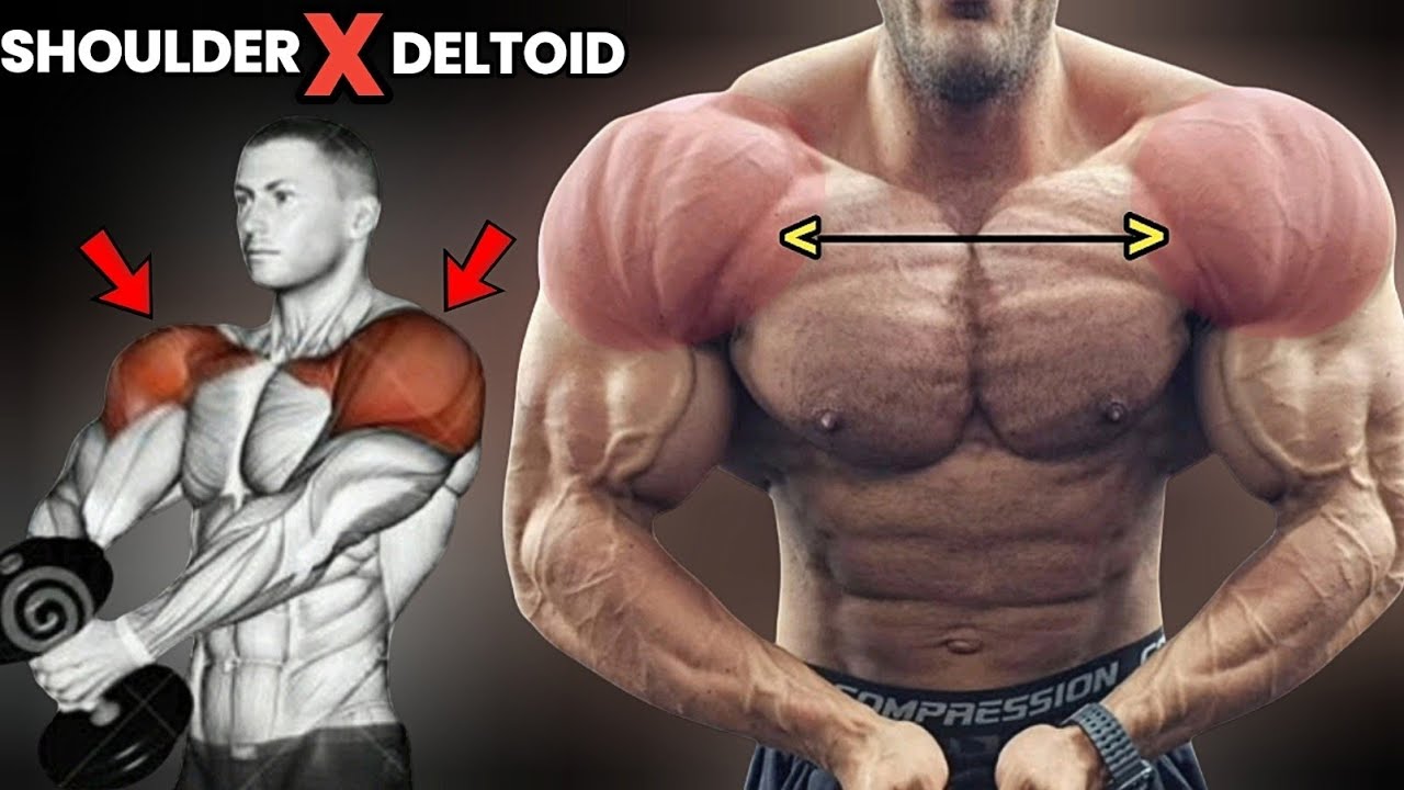Shoulder Exercises To Get Big Shoulder Deltoid Muscle | Shoulder ...