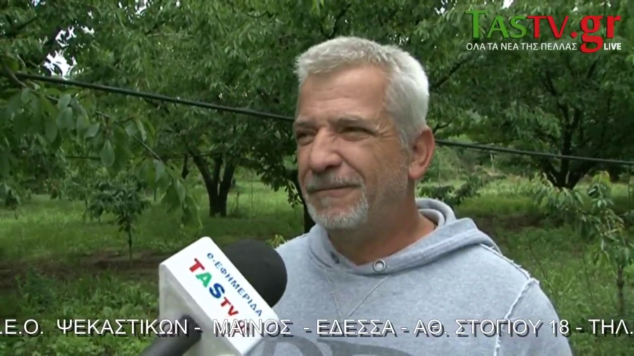 ΚΑΡΥΔΙΑ ΕΔΕΣΣΑΣ : Η ΒΡΟΧΟΠΤΩΣΗ "ΕΣΚΑΣΕ" ΤΑ ΚΕΡΑΣΙΑ (26-5-2017) - YouTube