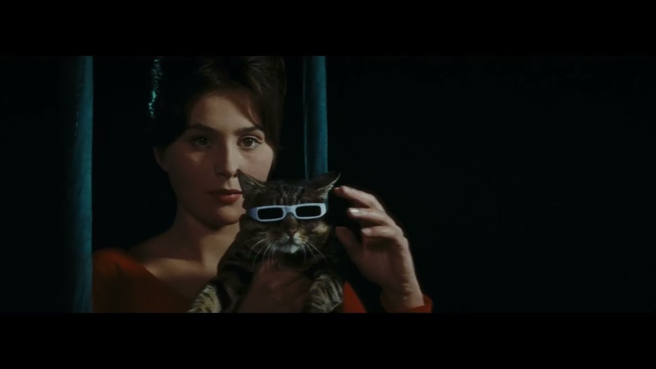 The Cassandra Cat | Trailer - YouTube