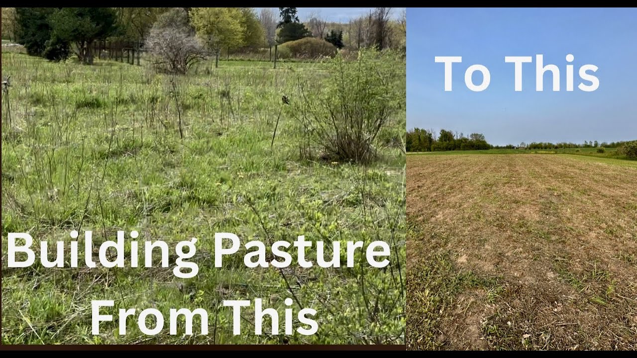 Our first time pasture building - YouTube