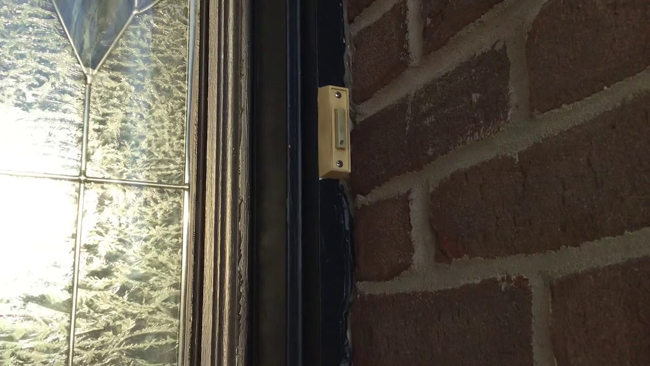 Sadie Belle’s Movie Part 1 - YouTube
