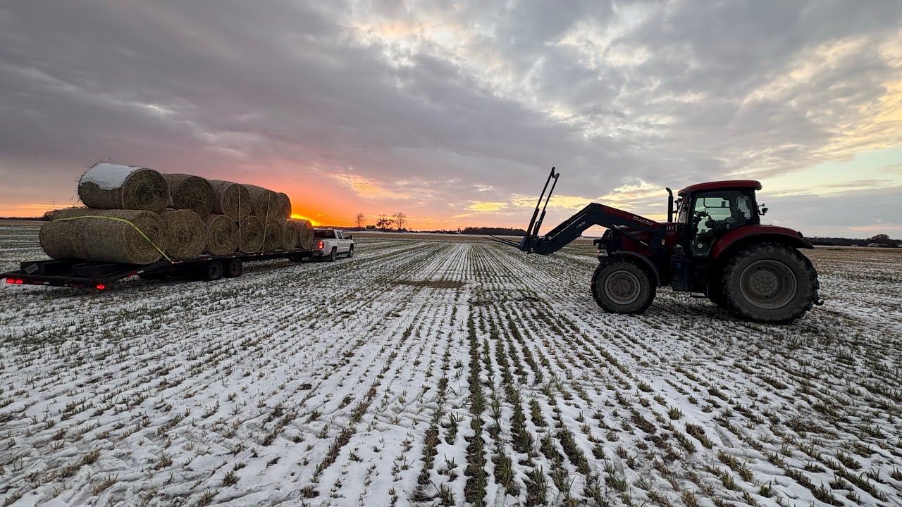 2025 hay season recap. 4th year farming! - YouTube