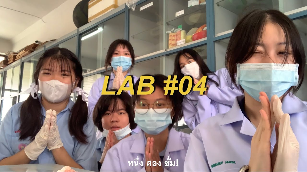 Lungs Lab🫁 - YouTube