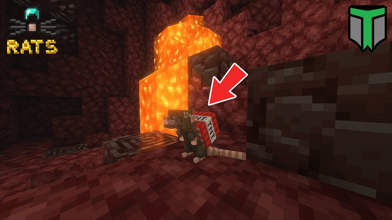 La NETHERITE avec le Rat TNT EXPERT (Il fait tout péter, ça tourne bien ...