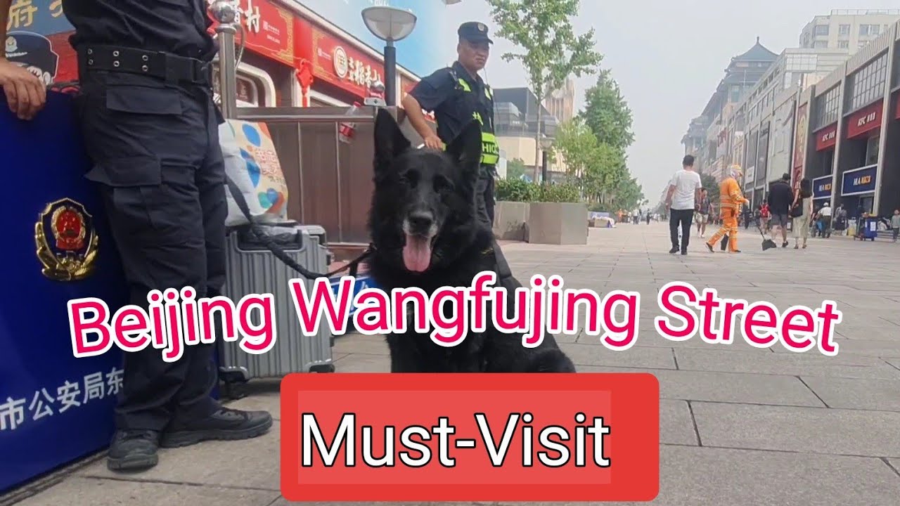 The Most Famous Street in China. Wangfujing Street: A Must-Visit for ...
