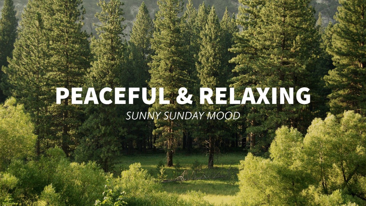 Relaxing Sunny Sunday Peaceful Mood Music When you can’t Sleep Study ...