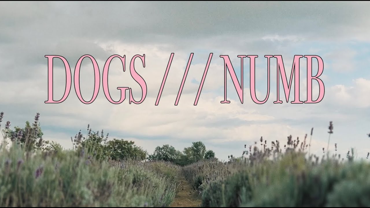 Exdy - DOGS /// NUMB - YouTube