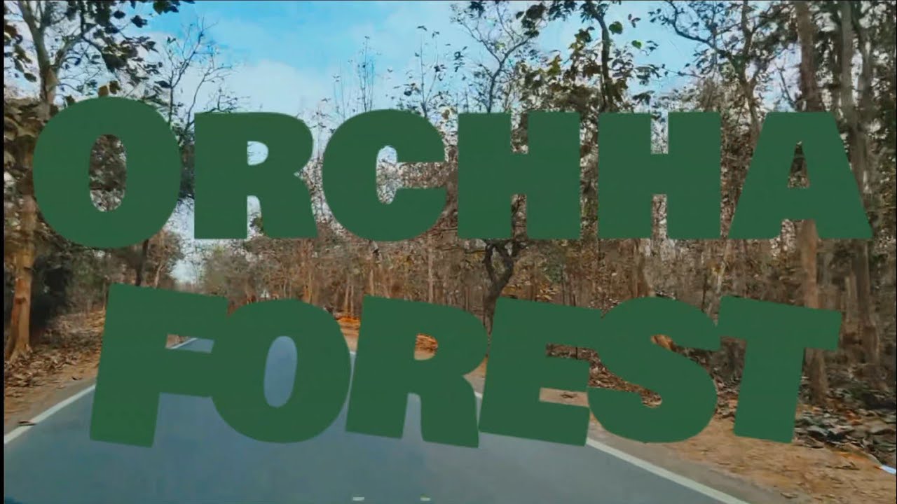 ORCHHA VLOG | Orchha 😍 Niwari Mp | Orchha Forest View 😍 #orchha # ...