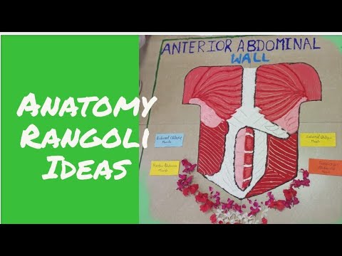 RANGOLI COMPETITION ON WORLD ARTHRITIS DAY | ANATOMY RANGOLI IDEAS ...