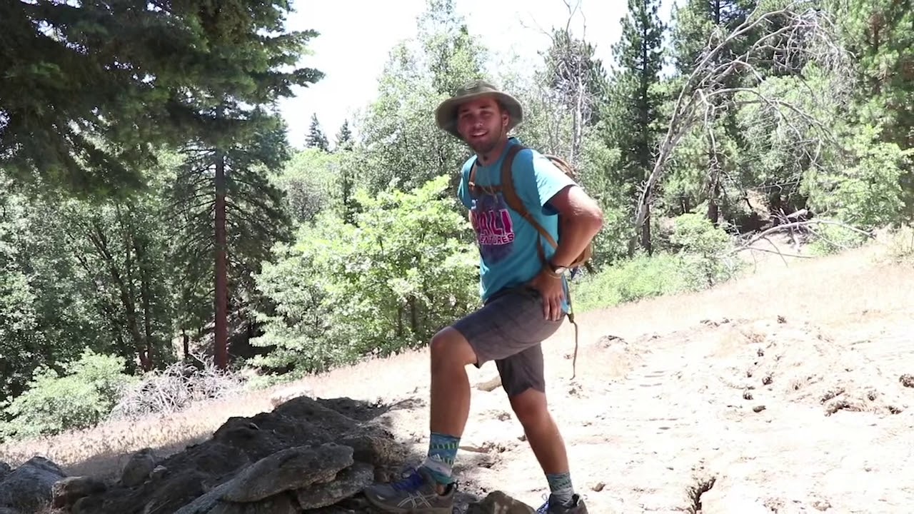 Neature Walk with Log - YouTube