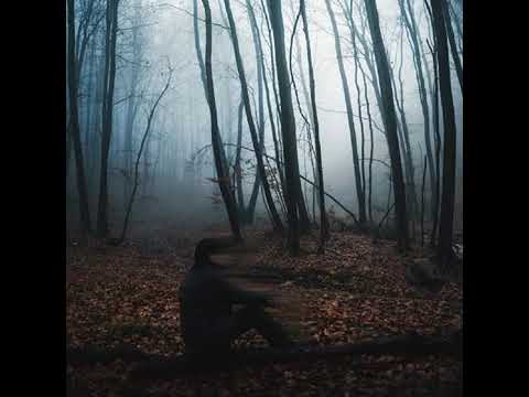 İnzar Sur - Kal Diyemem