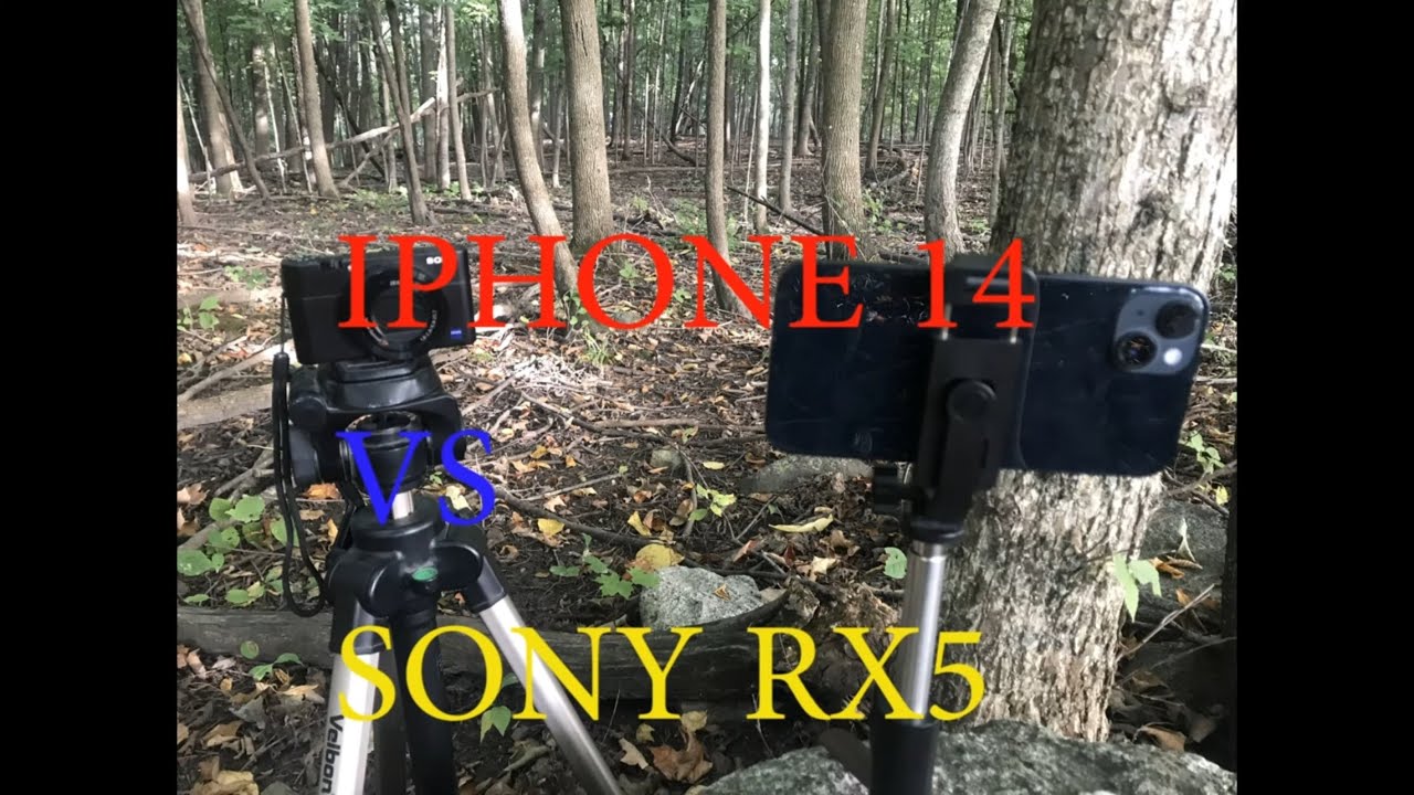 Sony RX5 vs iPhone 14 4K shoot out - YouTube