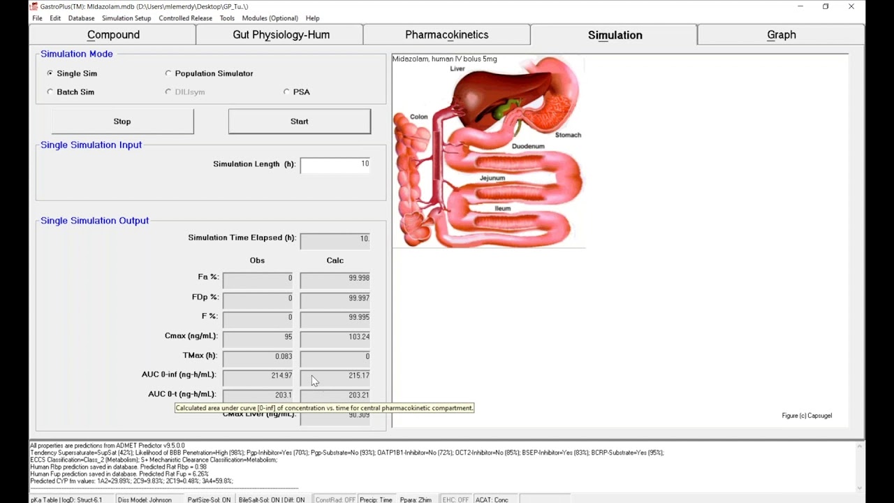 GastroPlus® Tutorial Phase 1 Video 6: How to launch a simulation ...