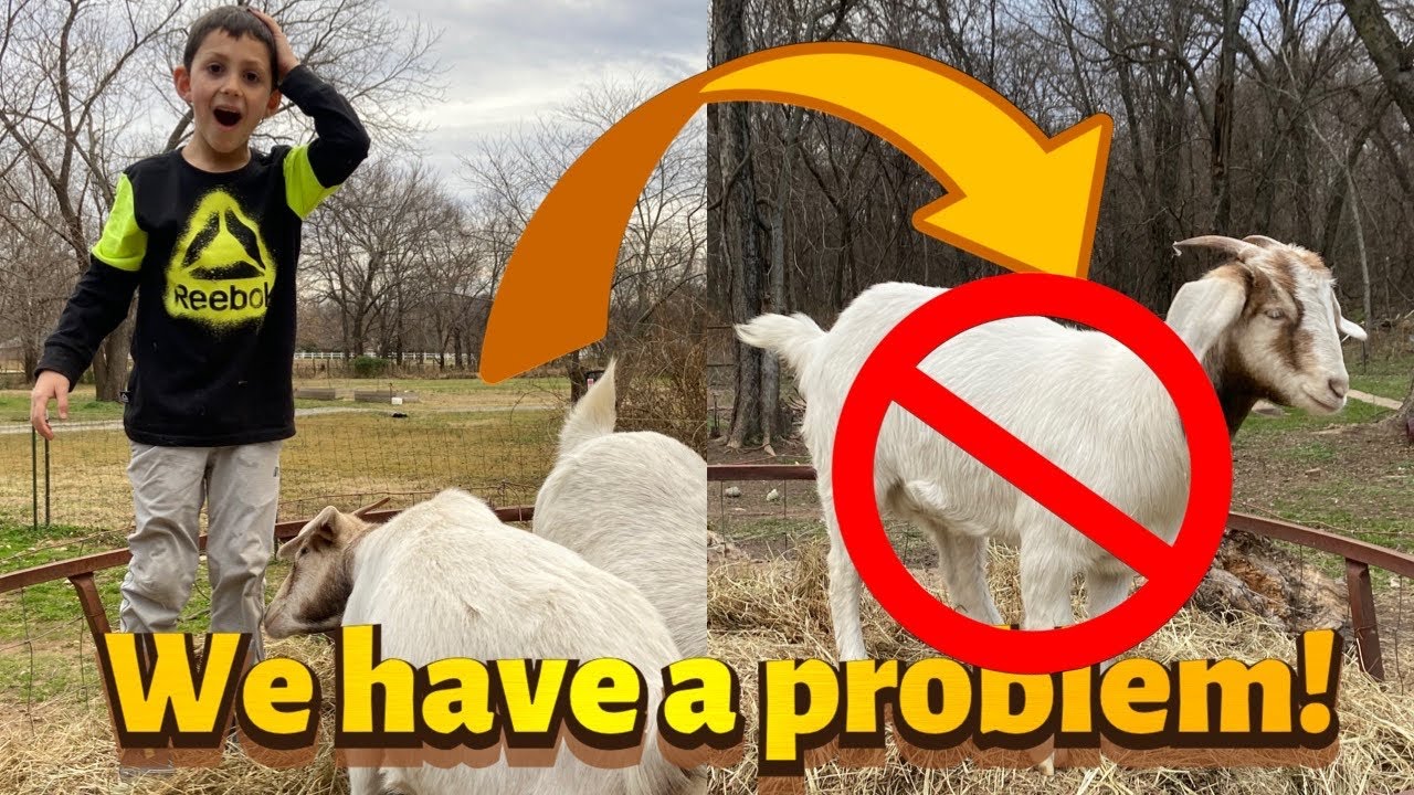 We have a problem! - YouTube