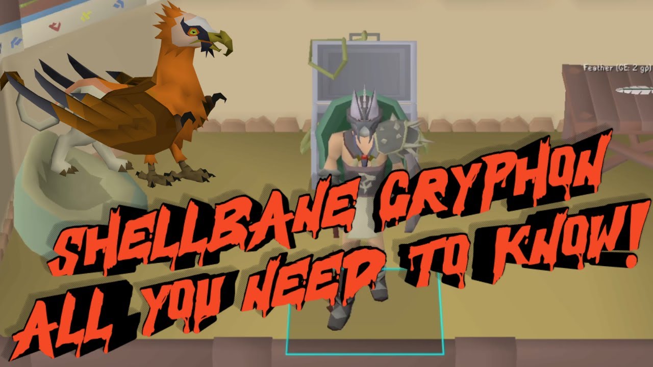 All you need to know - Shellbane Gryphon - YouTube