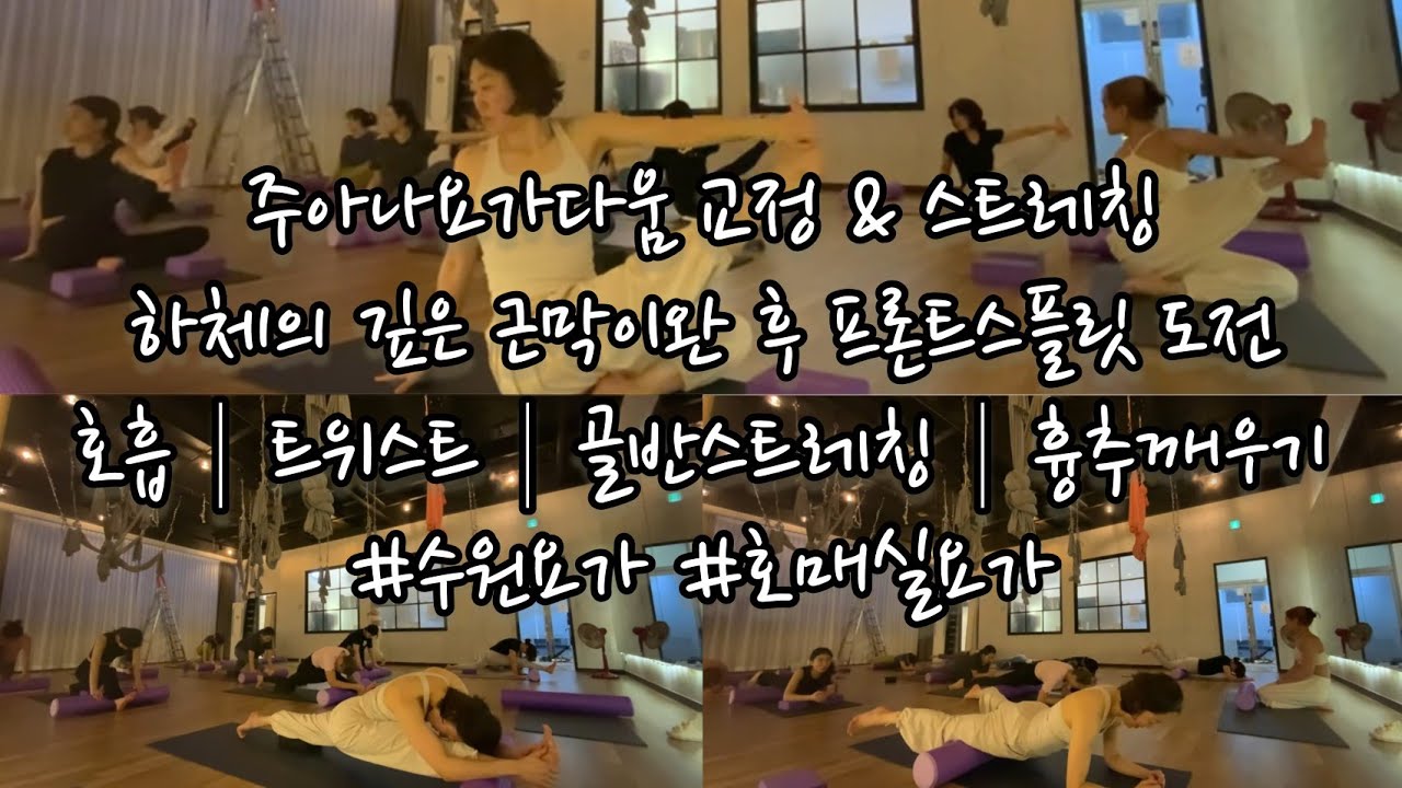 주아나요가다움 교정 And 스트레칭 하체의 깊은 근막이완 후 프론트스플릿도전 호흡│트위스트│골반스트레칭│흉추깨우기수원요가