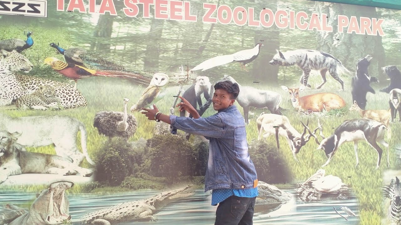 DUMKA TO TATA NAGAR JUGLI PARK ENJOY - YouTube