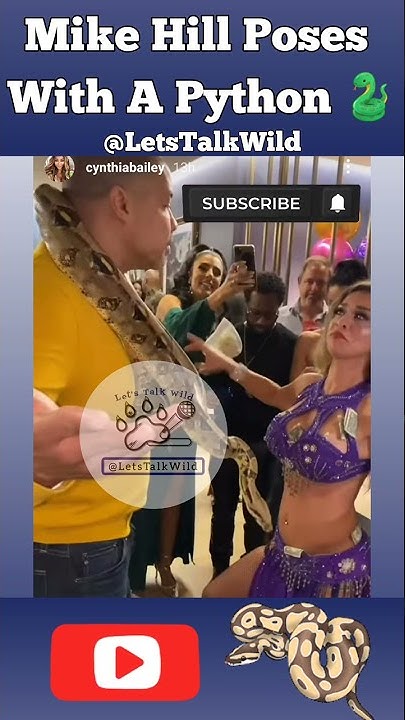 Mike Hill Poses With A Python Snake, Mike Hill & Cynthia Bailey Allegedly Split & Headed For ...