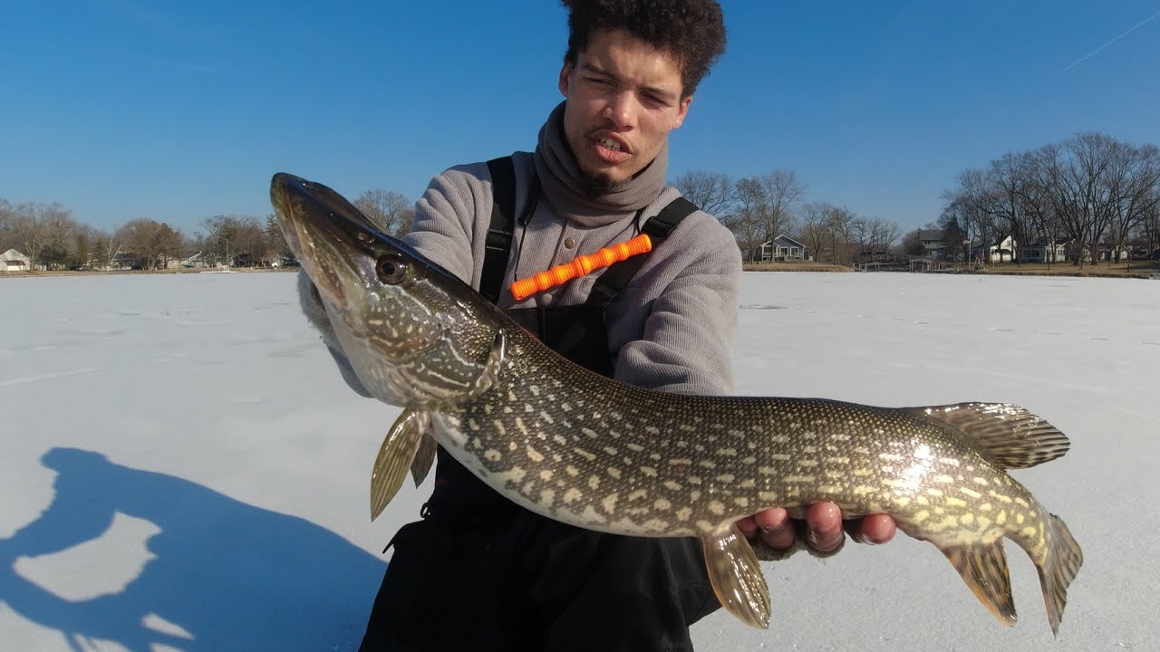 Northern Pike and Largemouth Bass on Tip Ups! (Illinois Ice Fishing ...