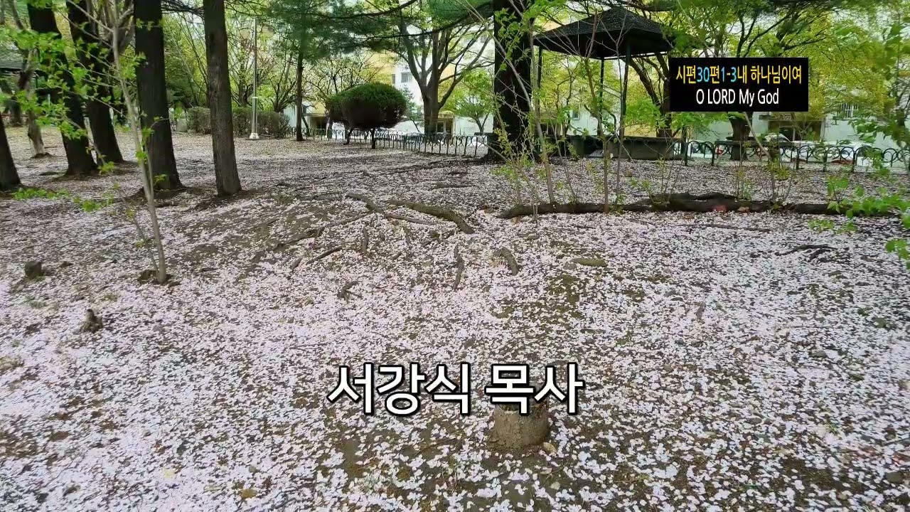 시편30편1-3(내 하나님이여-O LORD My God),Corner Stone, 성경 말씀,서강식 목사 - YouTube