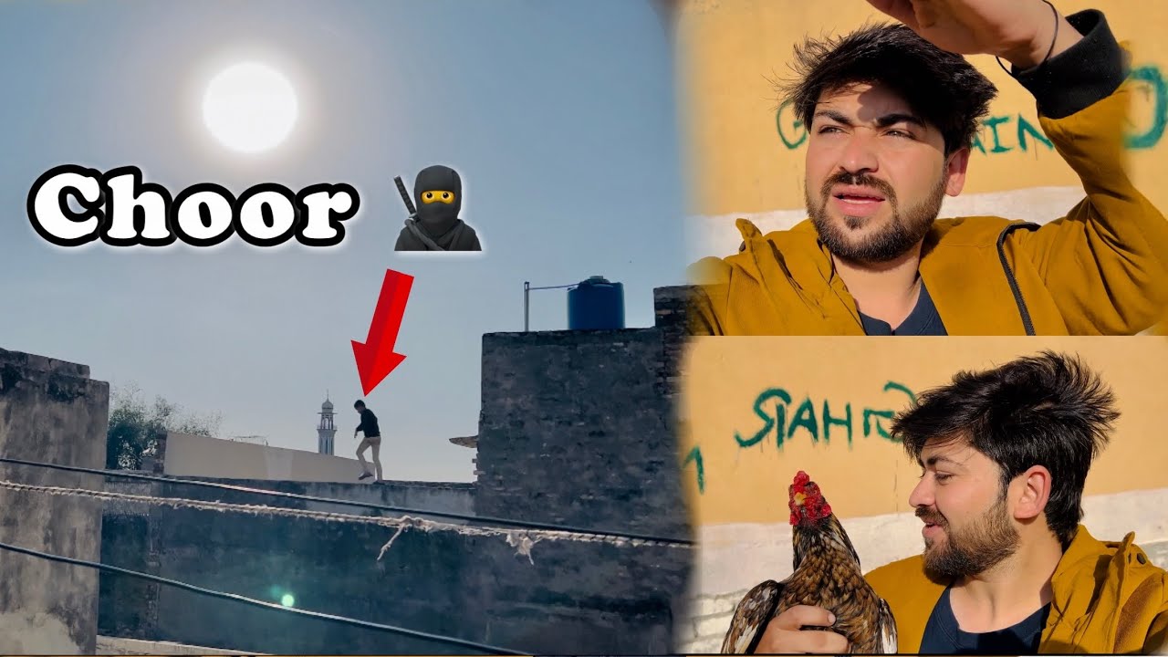 Ghar Main Chor Ghus Aiy Ab Sb Animals Khtre Main 💔 | Chor Mery Samny ...