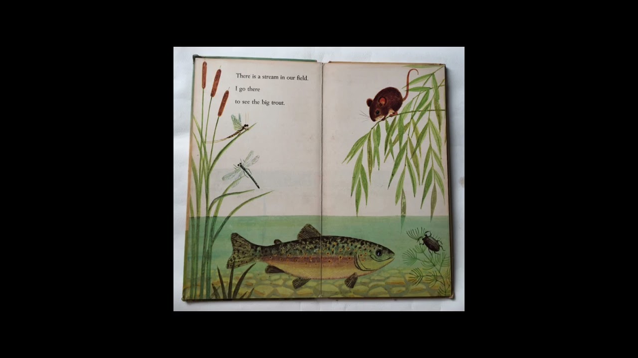 I am a mouse - YouTube