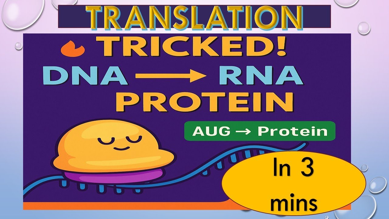 "Translation Explained in 3 Mins 🔥 | Class 12 Biology + NEET 2025 ...