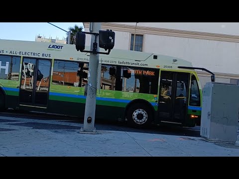 2020 LADOT Dash Proterra Catalyst BE35 20308 #bus - YouTube