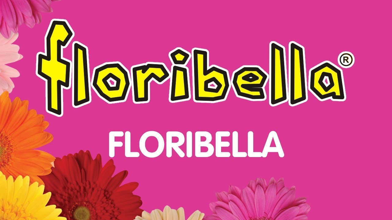 Floribella ( audio oficial ) - YouTube