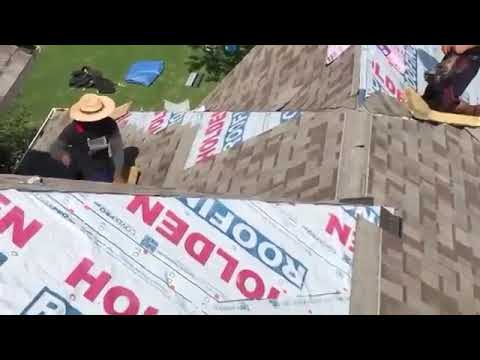 Ozzy Hernández - YouTube