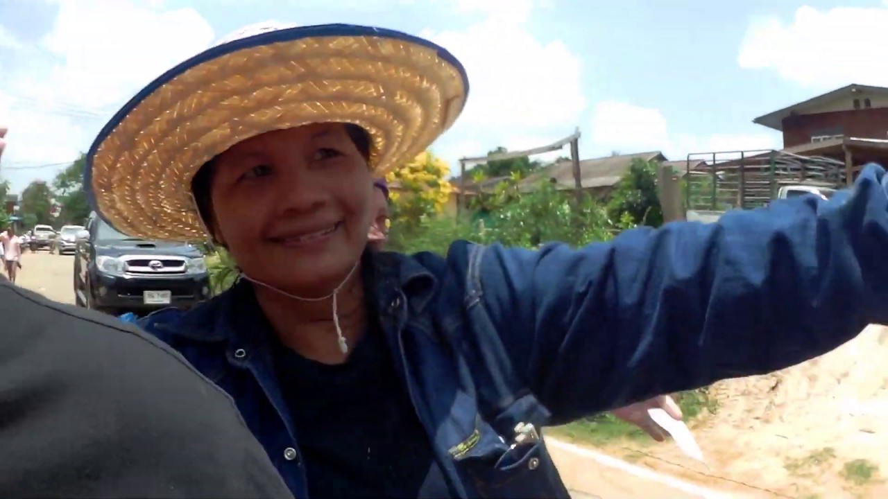 The Elephant Village, Surin, Thailand. Annual Monk Party & Shin Dig ...