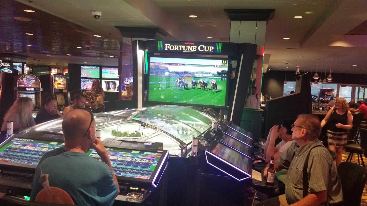 Fortune Cup in Las Vegas - YouTube
