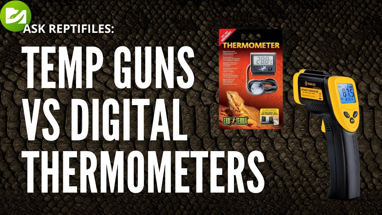 Temp Guns vs Digital Probe Thermometers for Reptiles - YouTube