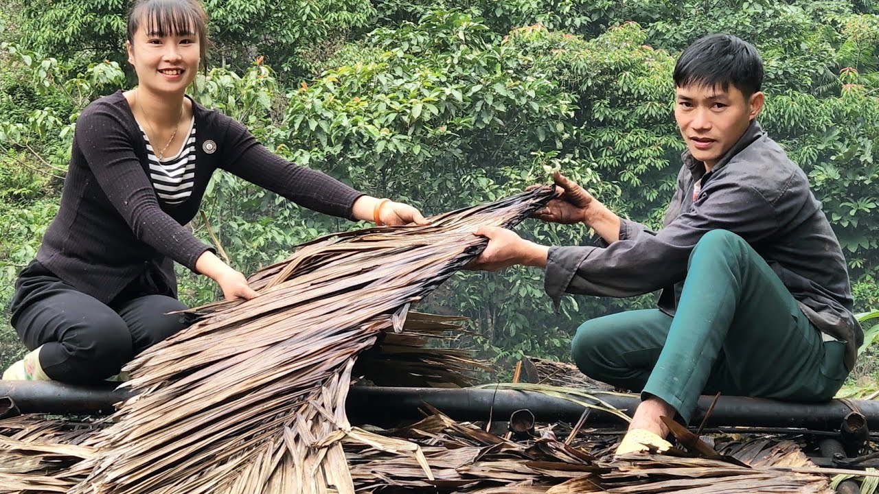 Soak rice to cook sticky rice. Go help grandparents build a new house ...