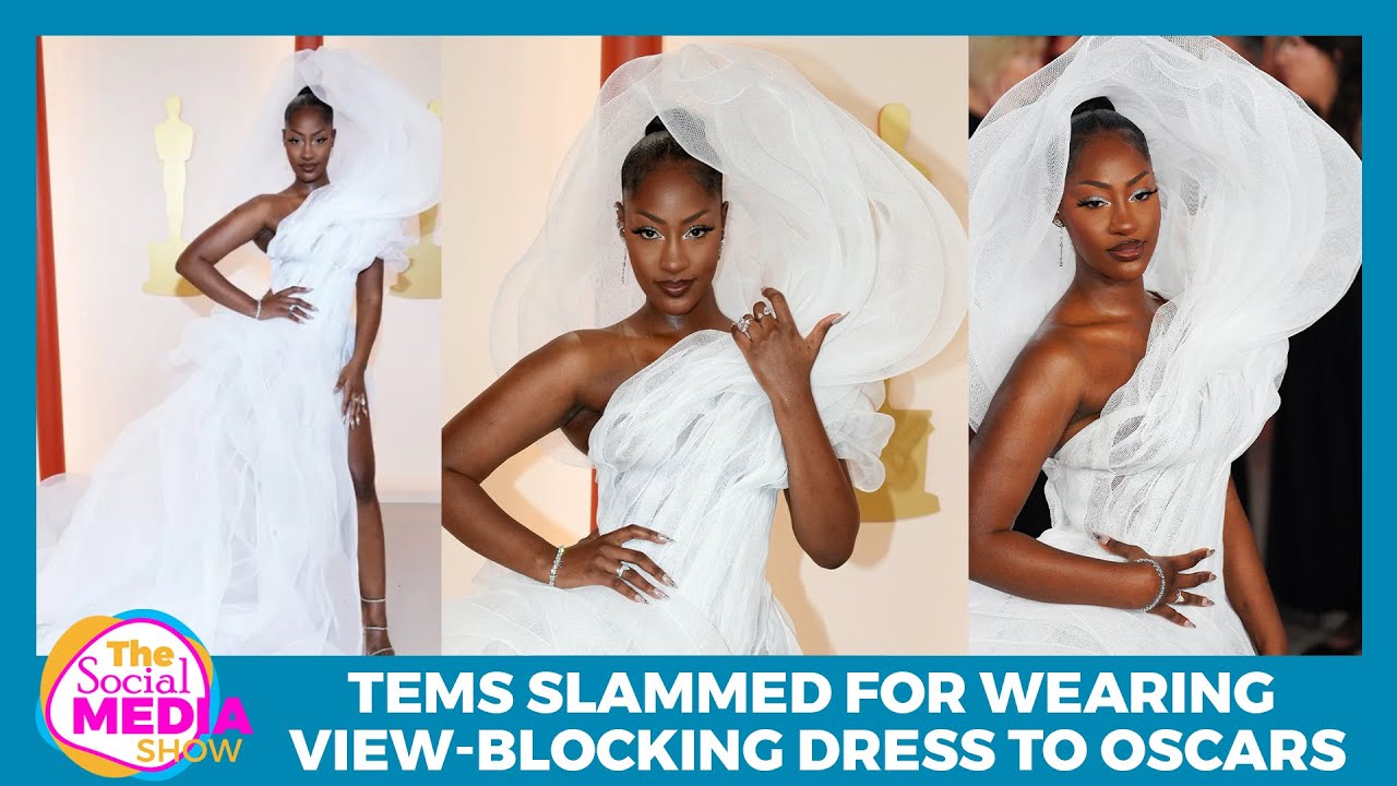 TEMS slammed for wearing view-blocking dress to Oscars - YouTube